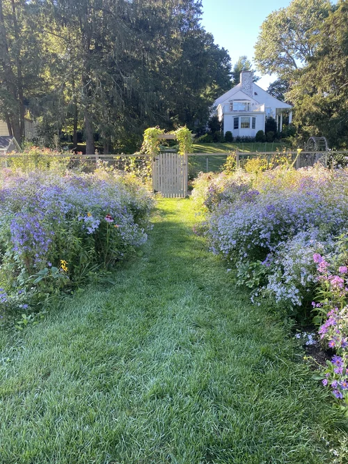 Plan it Wild — Native Landscape Design