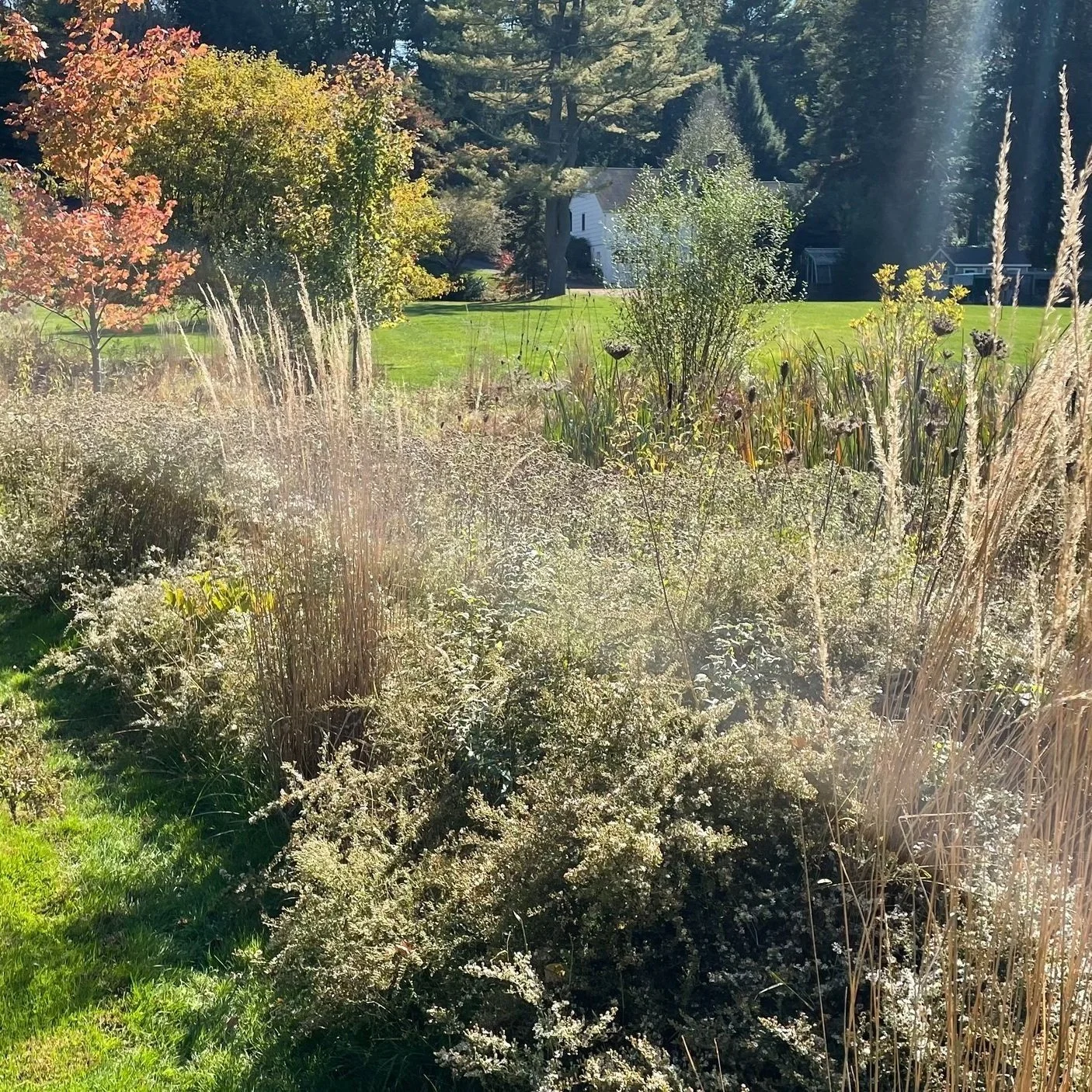 Ecological Landscaping & Native Plant Design | Plan it Wild Services