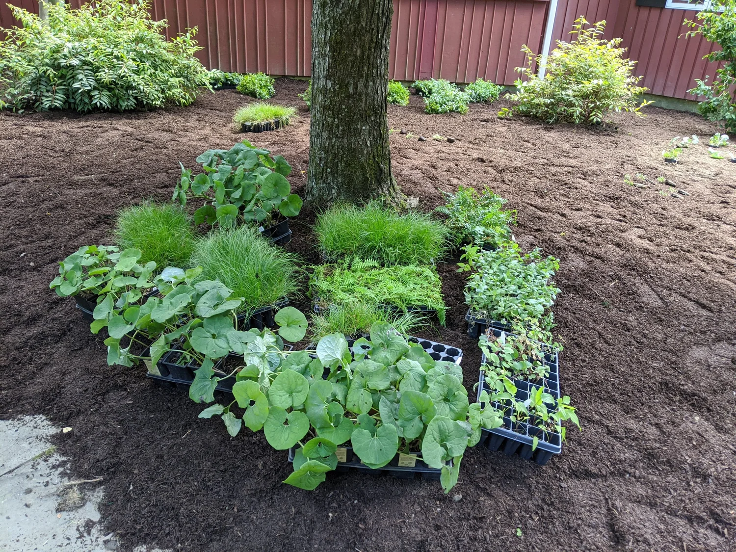 Your Yard Reimagined — Plan it Wild