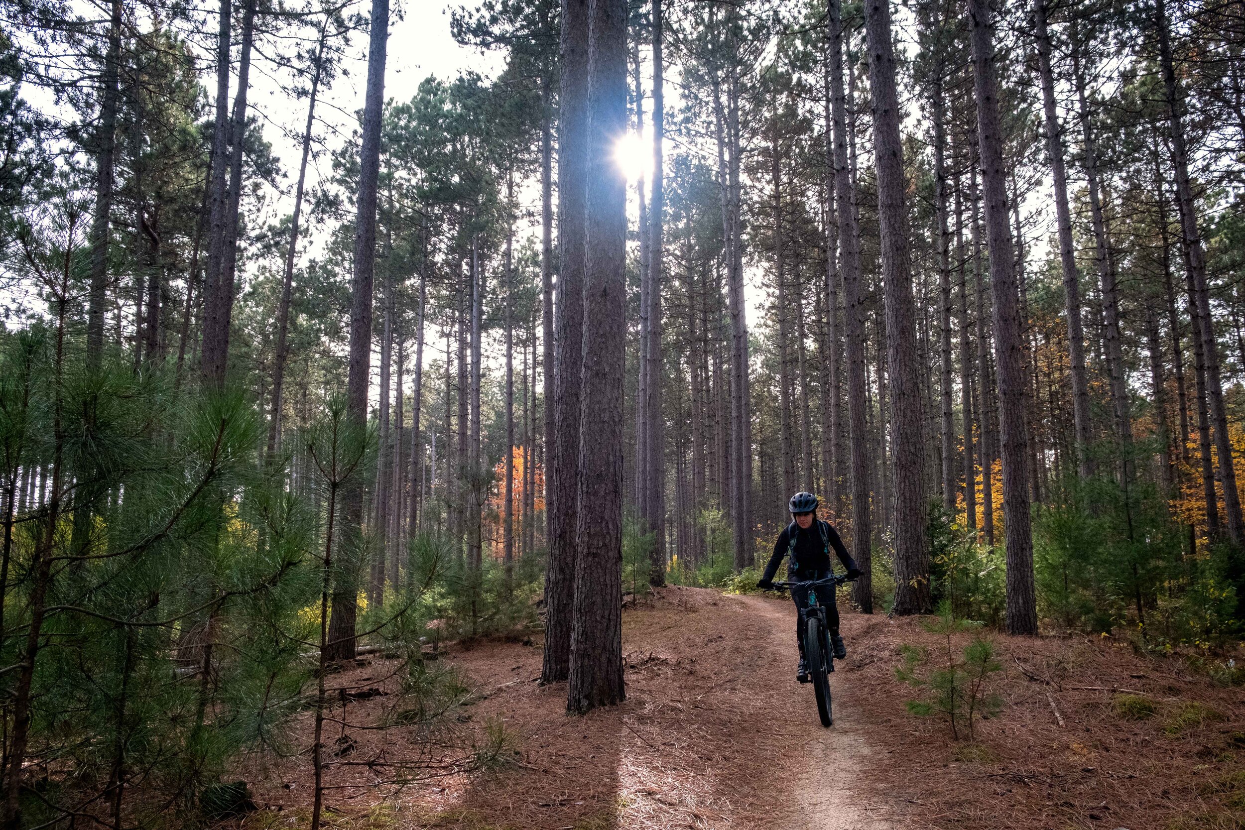 Vélo dans Prescott et Russell — SENTIER RÉCRÉATIF PRESCOTT & RUSSELL