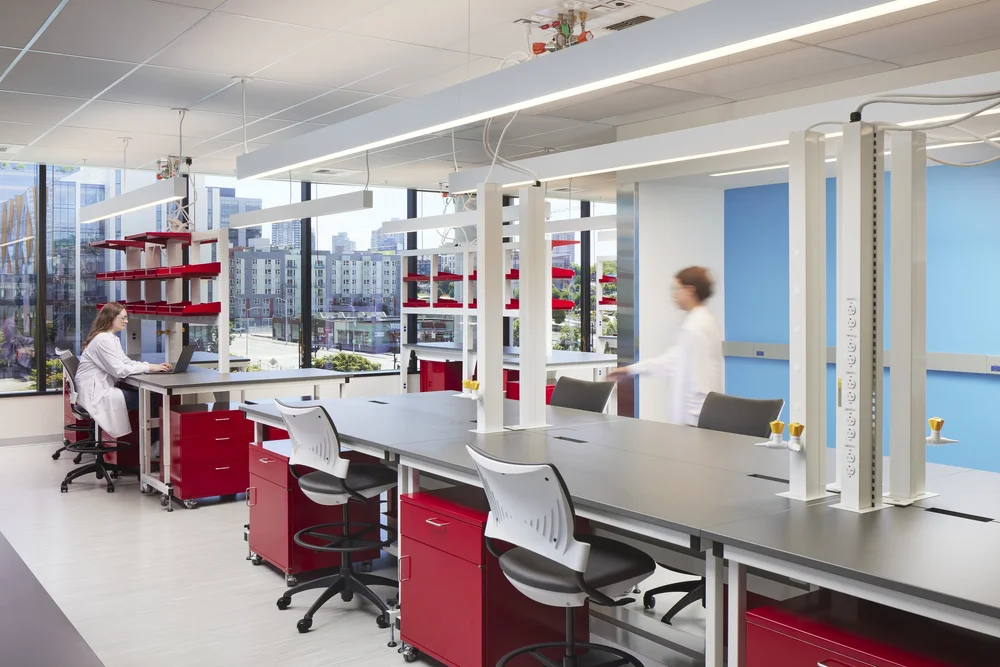 Maximizing Lab Efficiency: Cost-Effective Strategies for Small-Scale ...