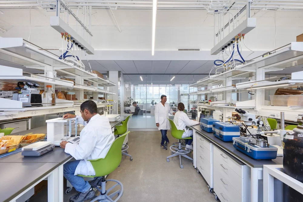 Botany Study With Garden Views: Modernizing A Midcentury UCLA Life ...