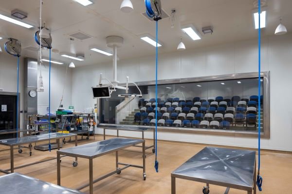 Revolutionizing Veterinary Education through Laboratory Design — Lab ...