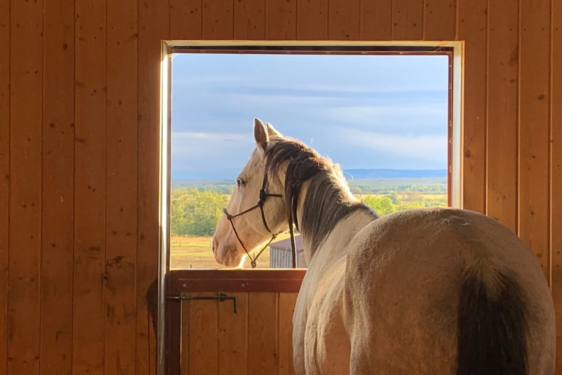 Aspen Ridge Ranch