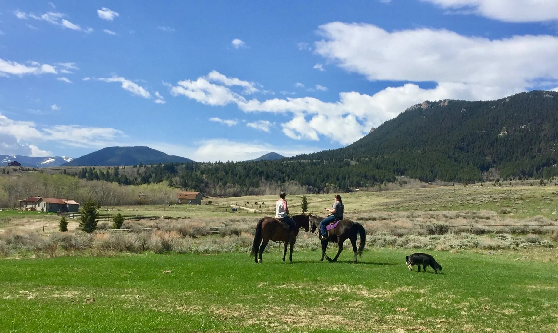 Our Team — Aspen Ridge Ranch