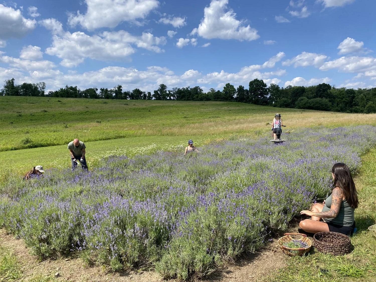 Amethyst Retreat Center