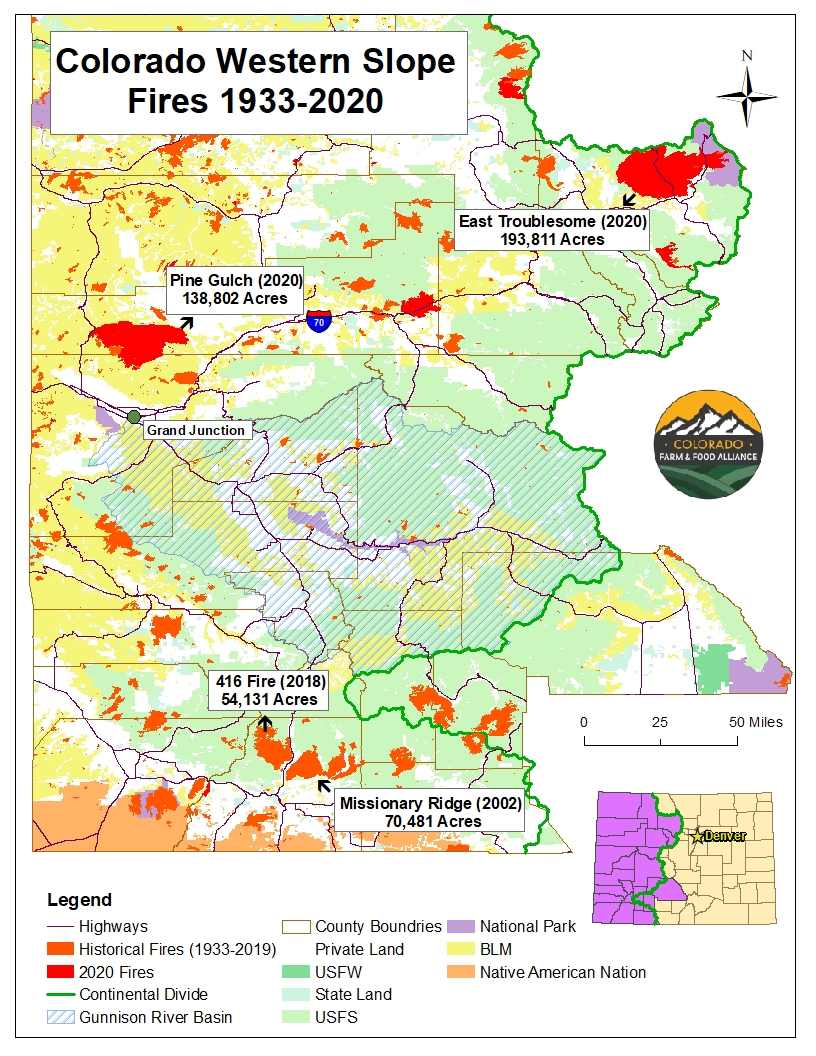 The Climate Emergency is Here - Urgent and Unprecedented Action is Now ...