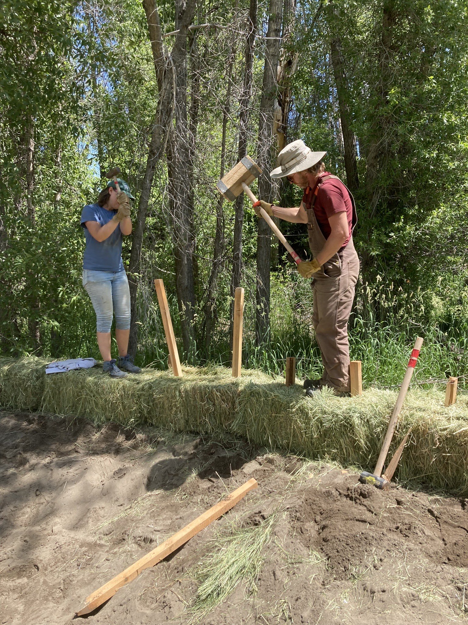 Re-Seed our Equity and Learning Garden — Colorado Farm & Food Alliance