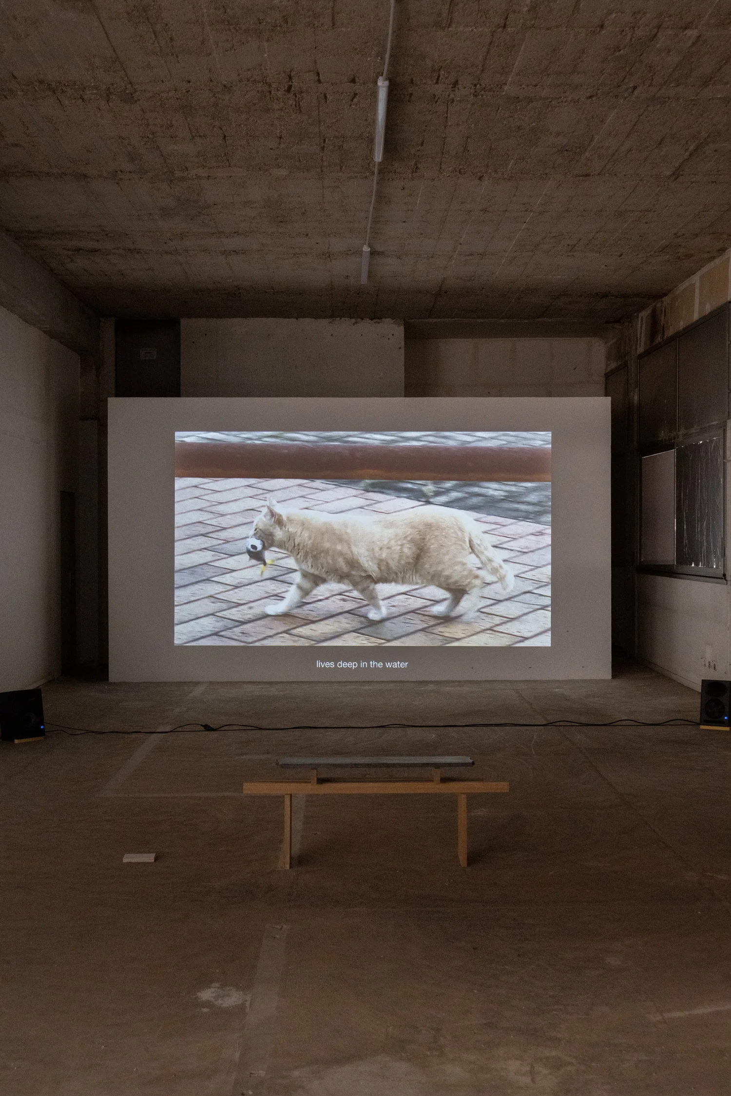 In Conversation: Souvenir – Justine Daquin in conversation with Ohan ...