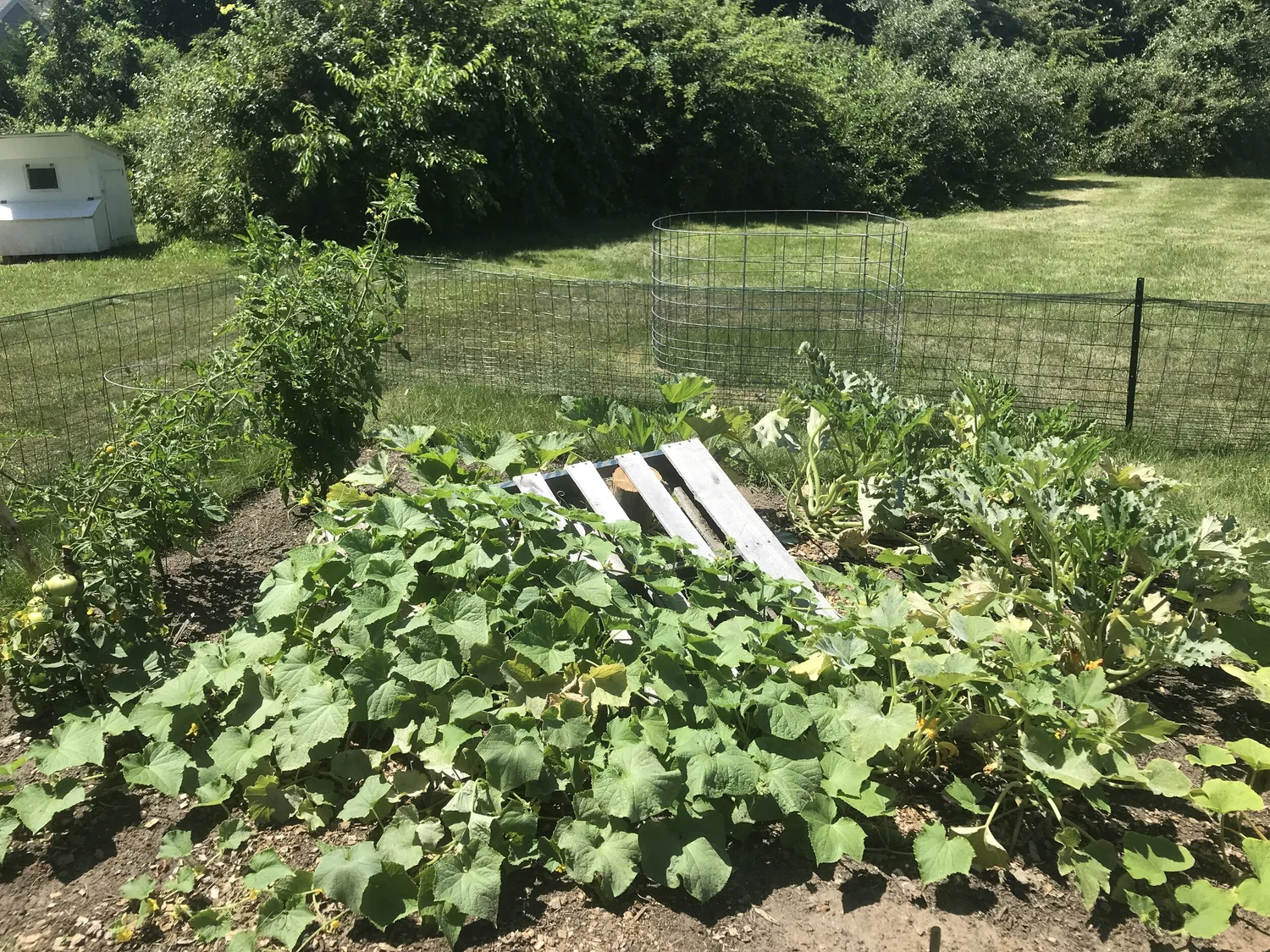 General 2 — Next Chance Inc.