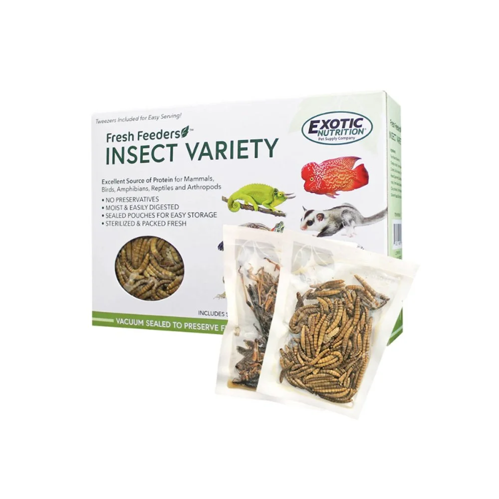 The Hedgehog Store | Pet Hedgehog Supplies