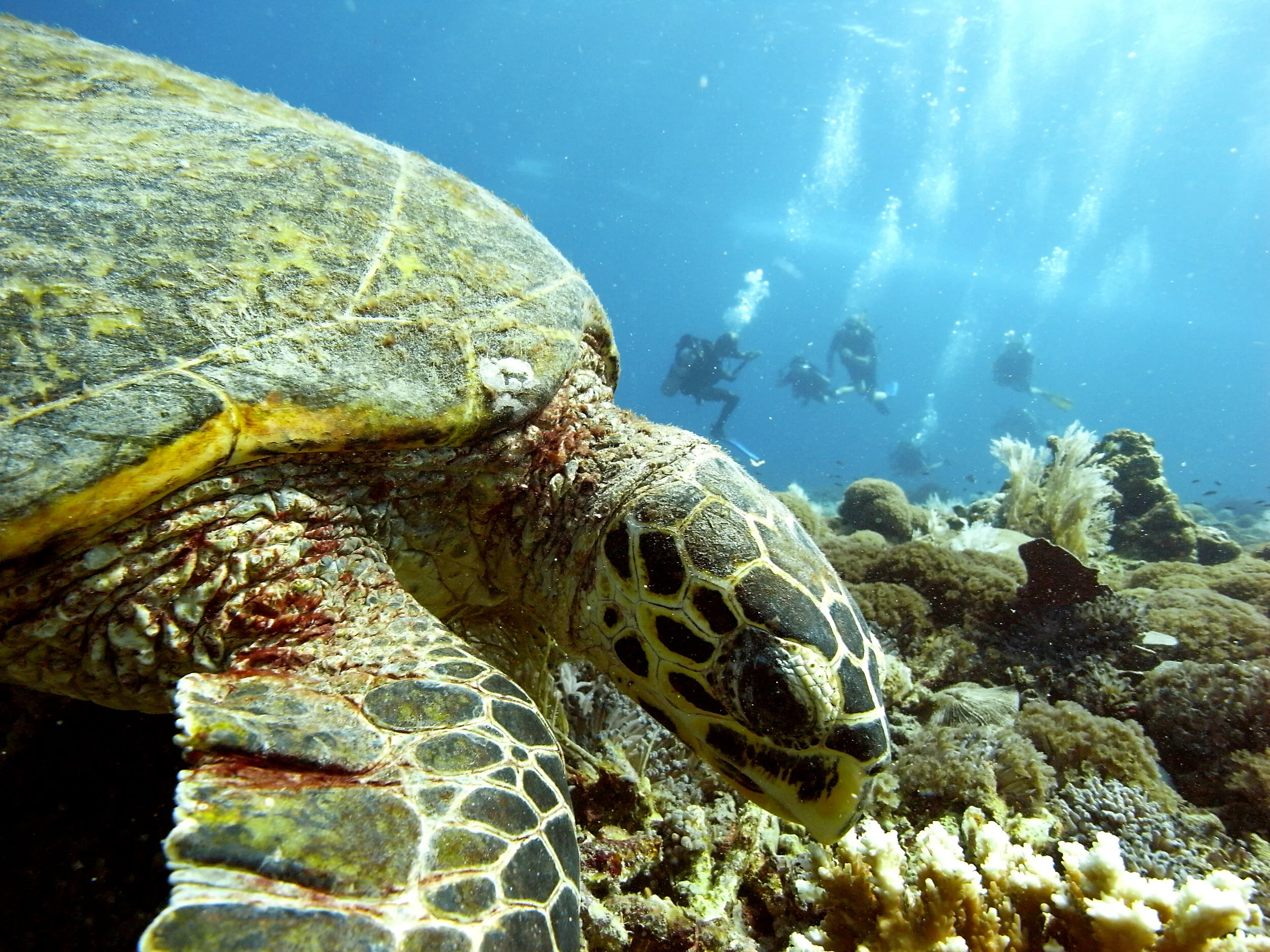 Session 4 — Bramhall Methodist Church