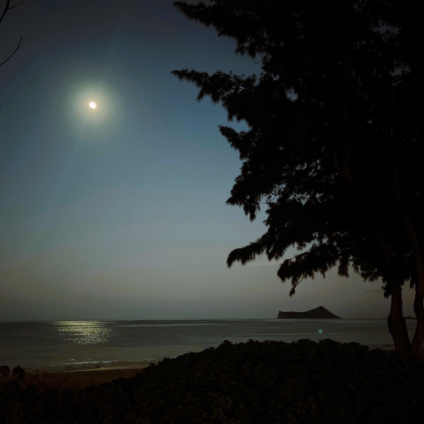 Fritz Johnson Architect