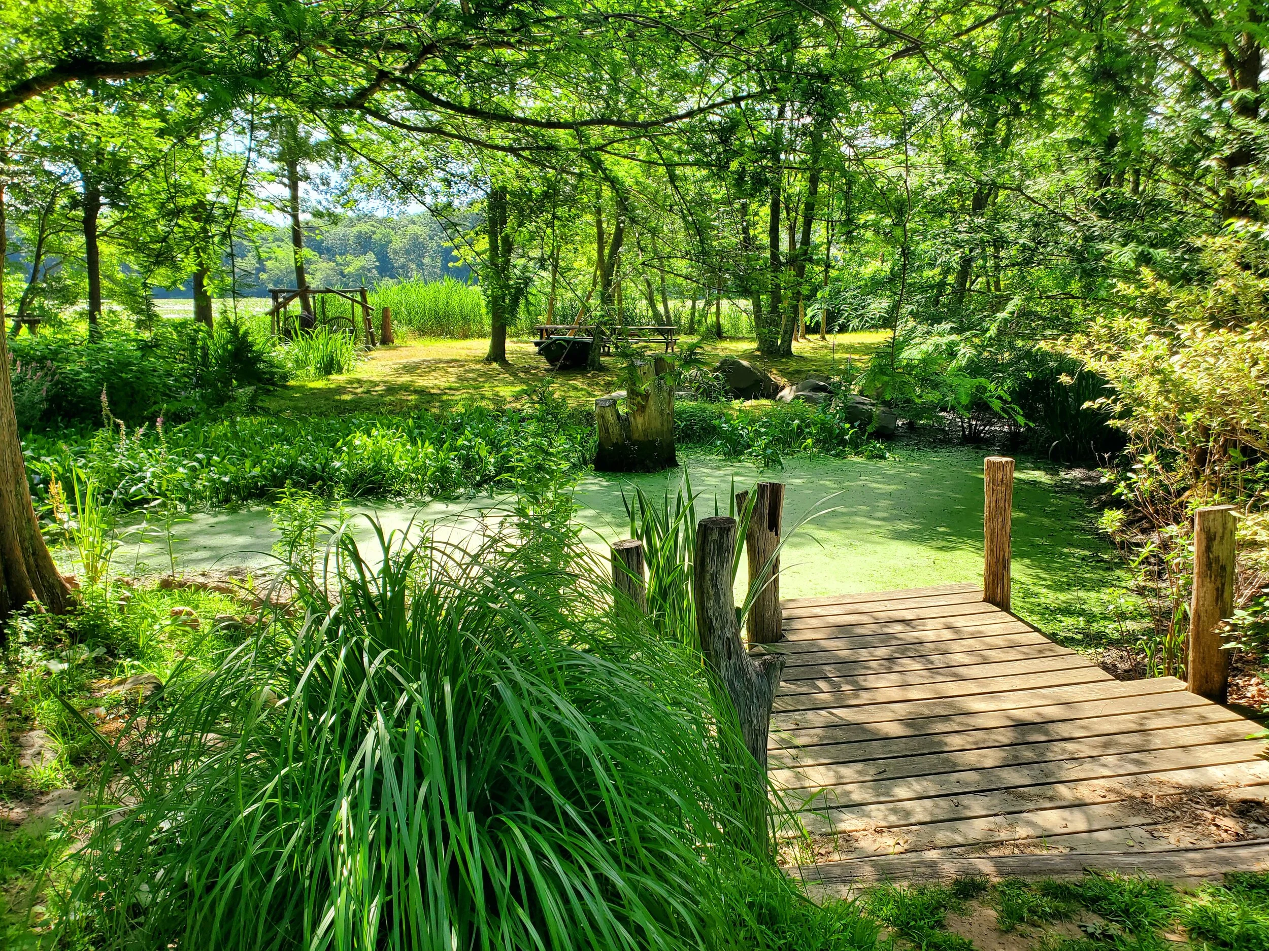 Peconic River Herb Farm