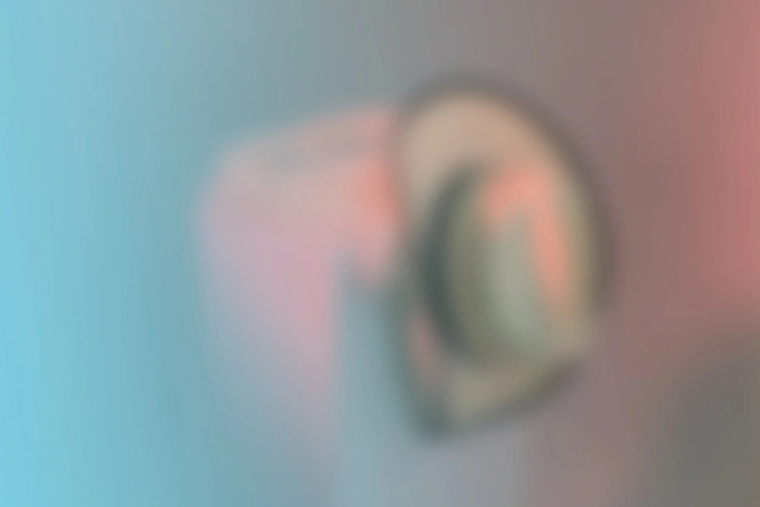 Dustin Bird - Official Website