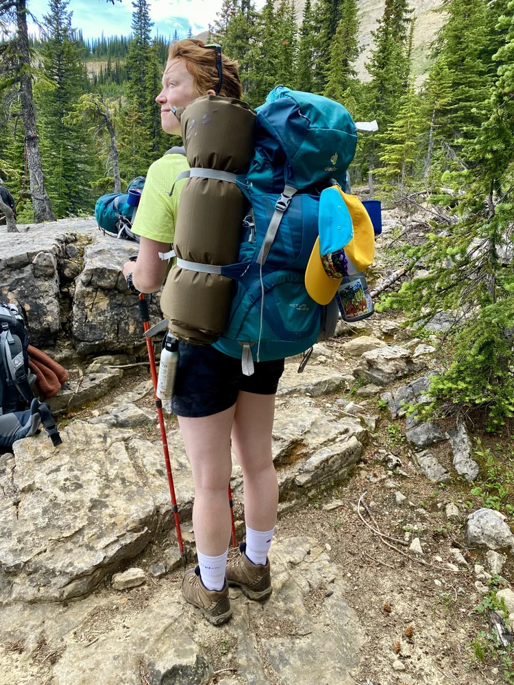 Shop Originals | Landscape Artist — Carly Gordon