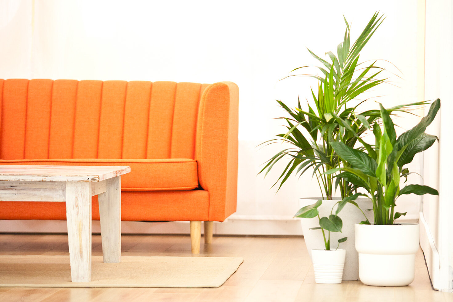 Best Fitness Dance Classes, Dance Exercise Classes for Adults | Dance Dynamics Australia