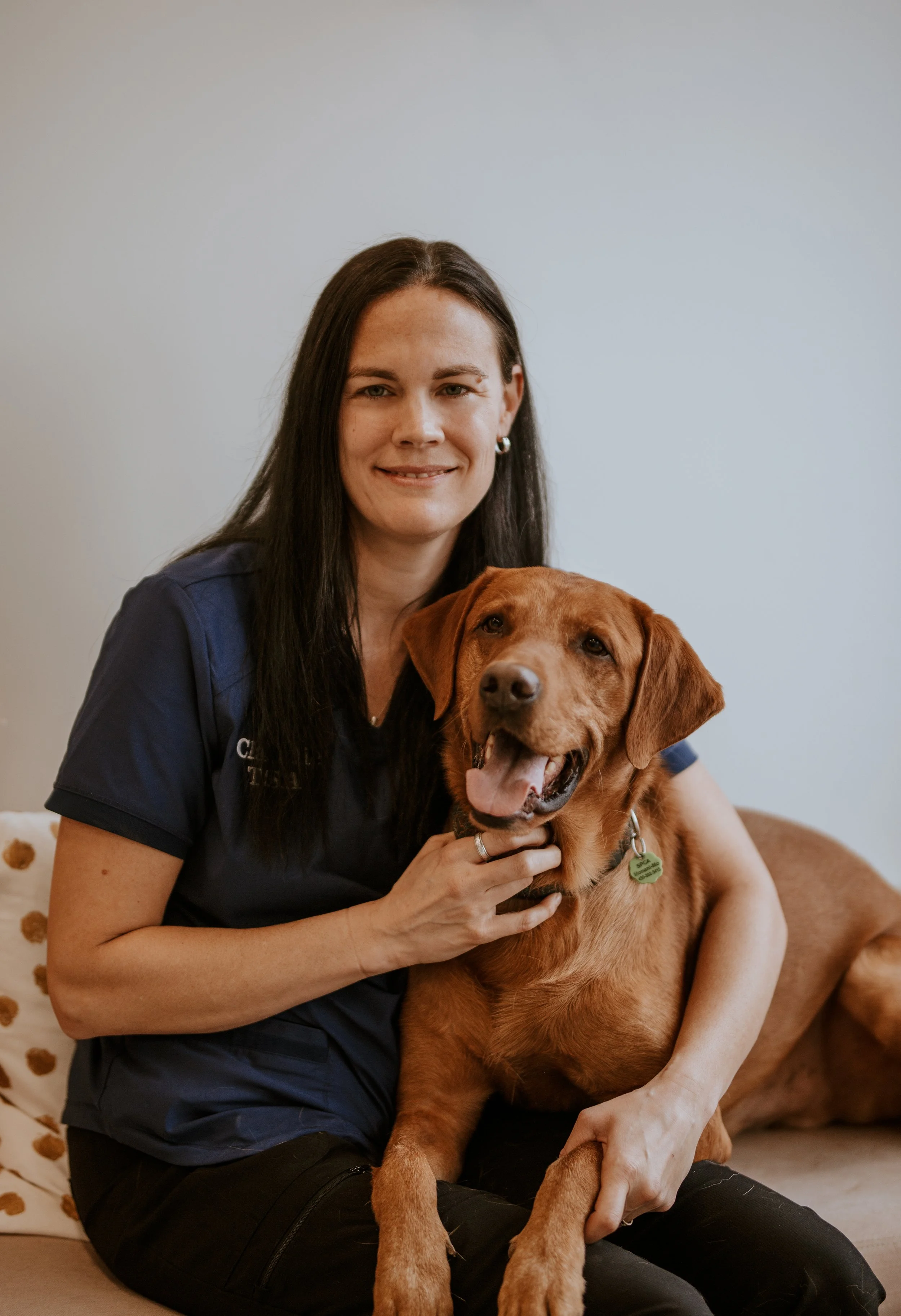 Notre équipe — Clinique Vétérinaire Deborah Nash