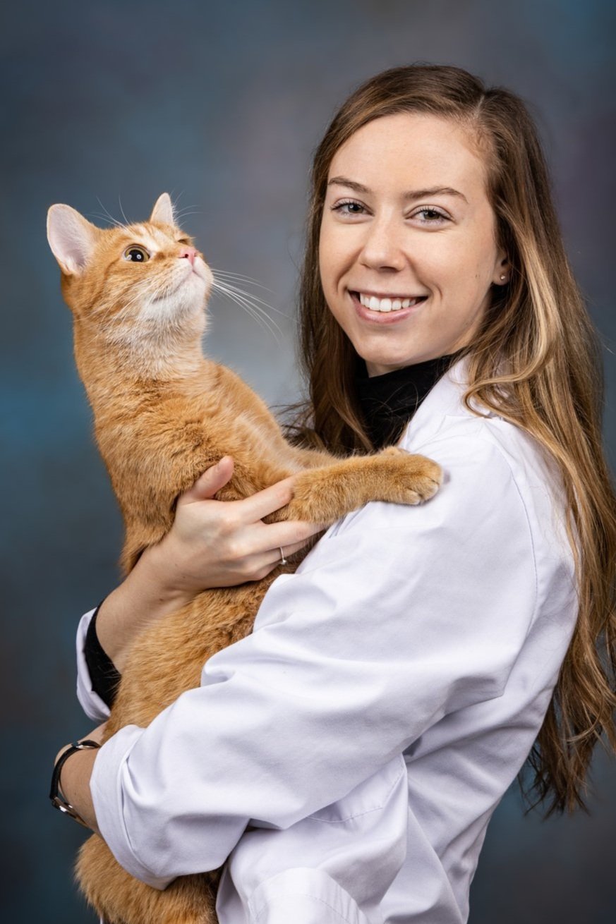 Clinique Vétérinaire Deborah Nash