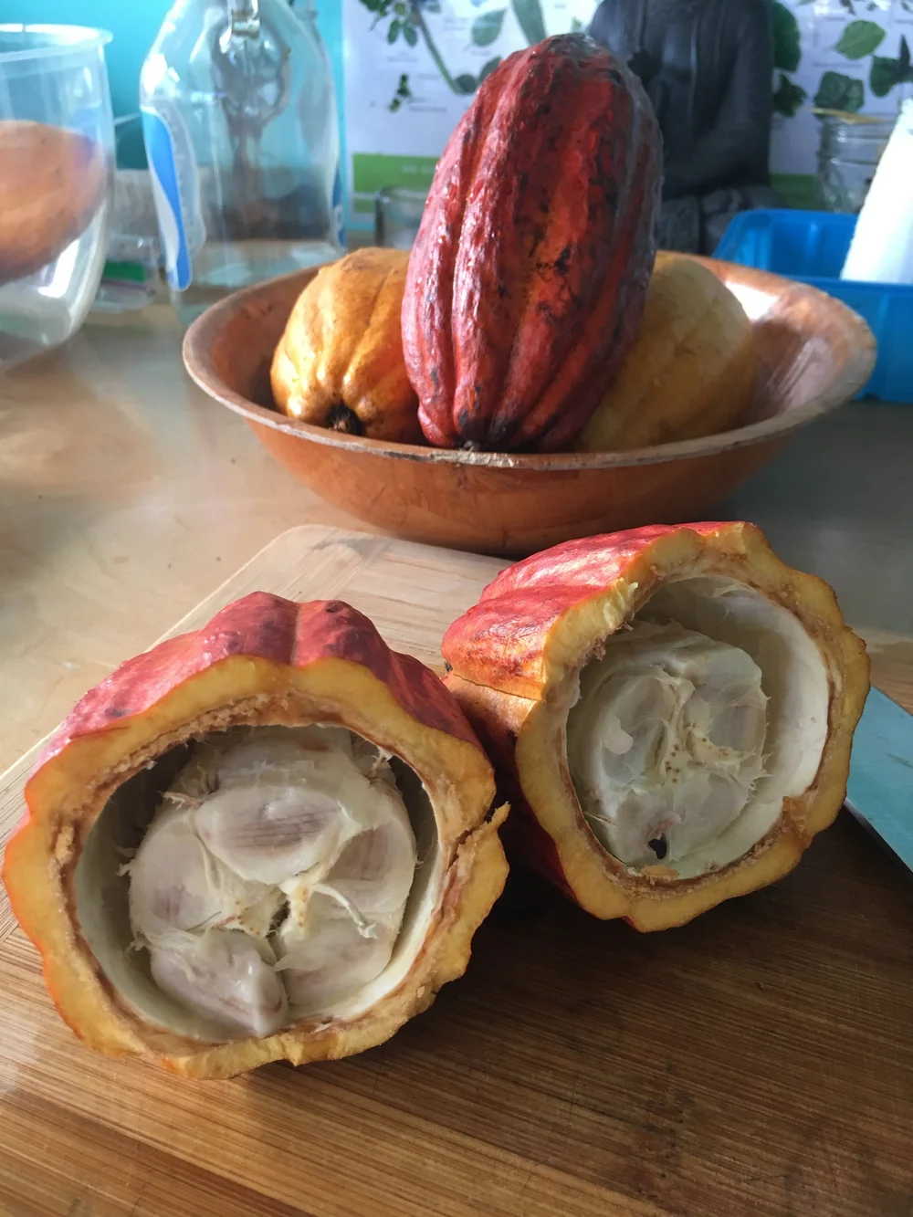 Goddess Cacao