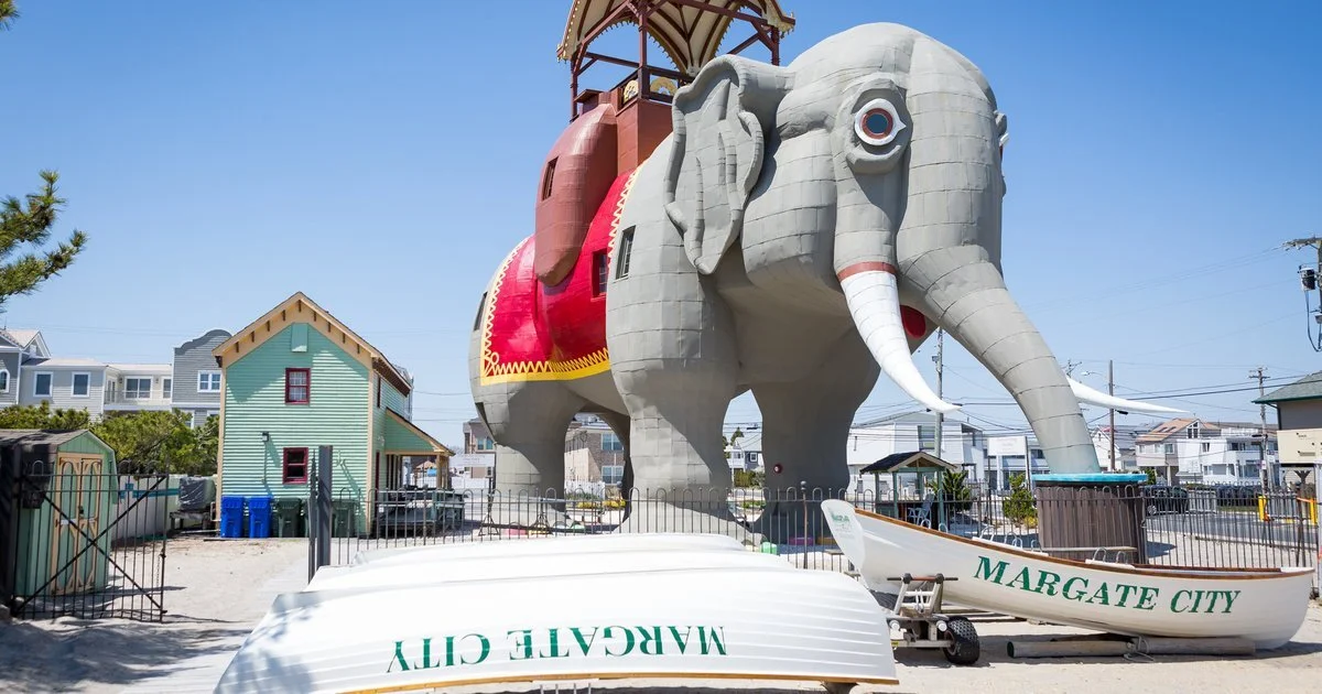 Dogpatch Beach Culture — Dogpatch Paddle