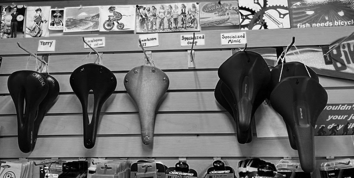 Saddle Library | Biking Doesn't Have To Be A Pain In The A** — Free ...