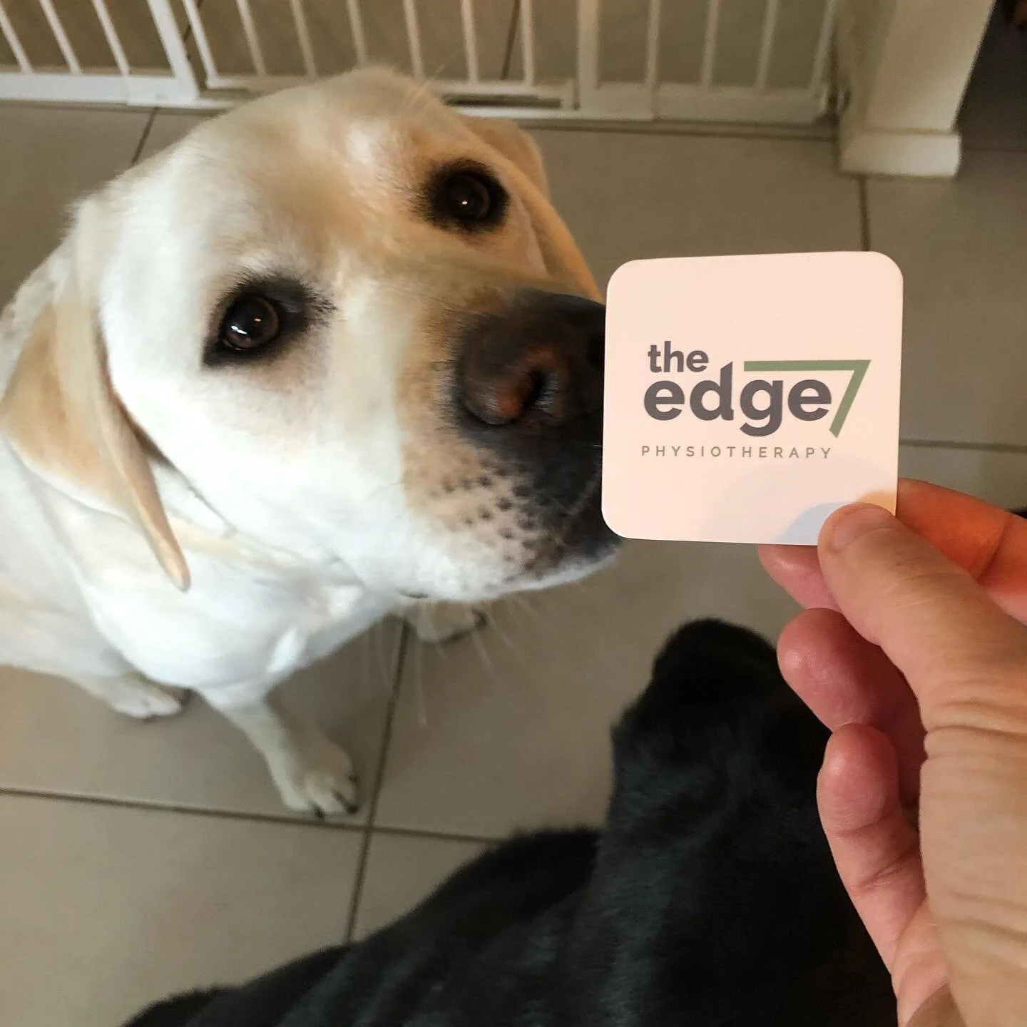 the edge physiotherapy Bowral, Physios in Bowral, Bowral Physio, dance physiotherapist Bowral ...