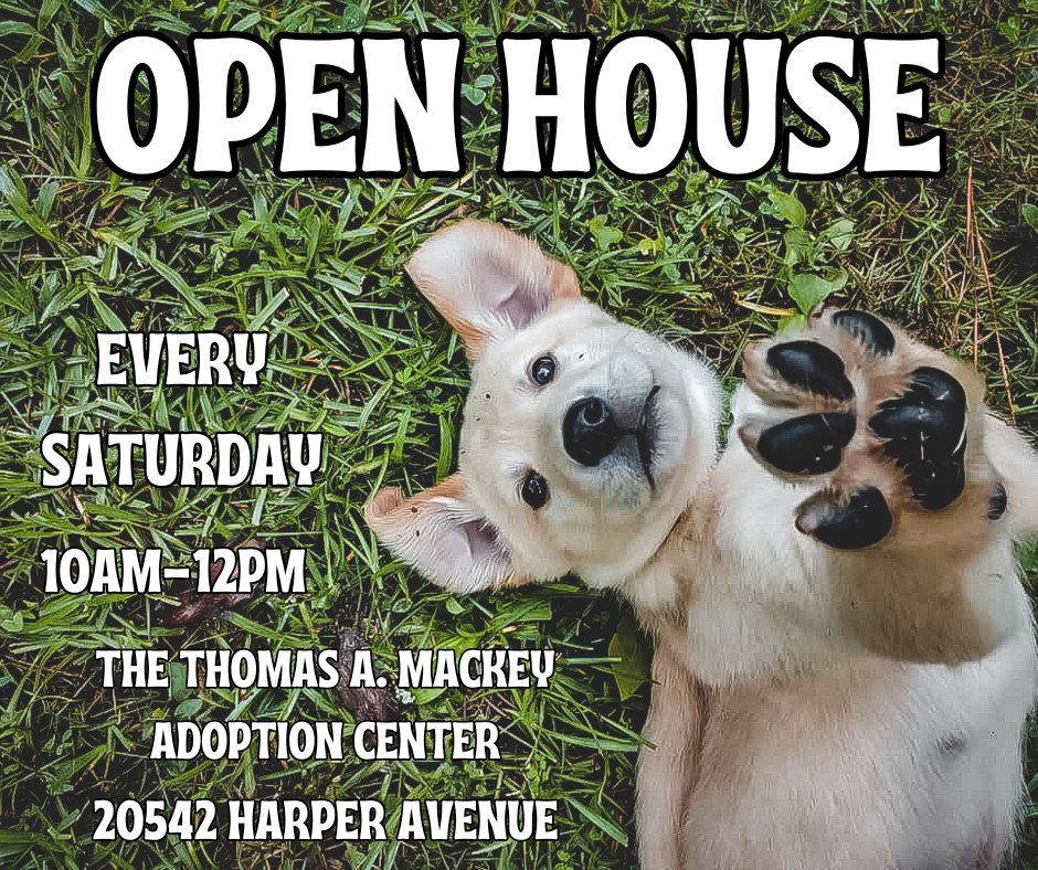 About GPAAS — Grosse Pointe Animal Adoption Society