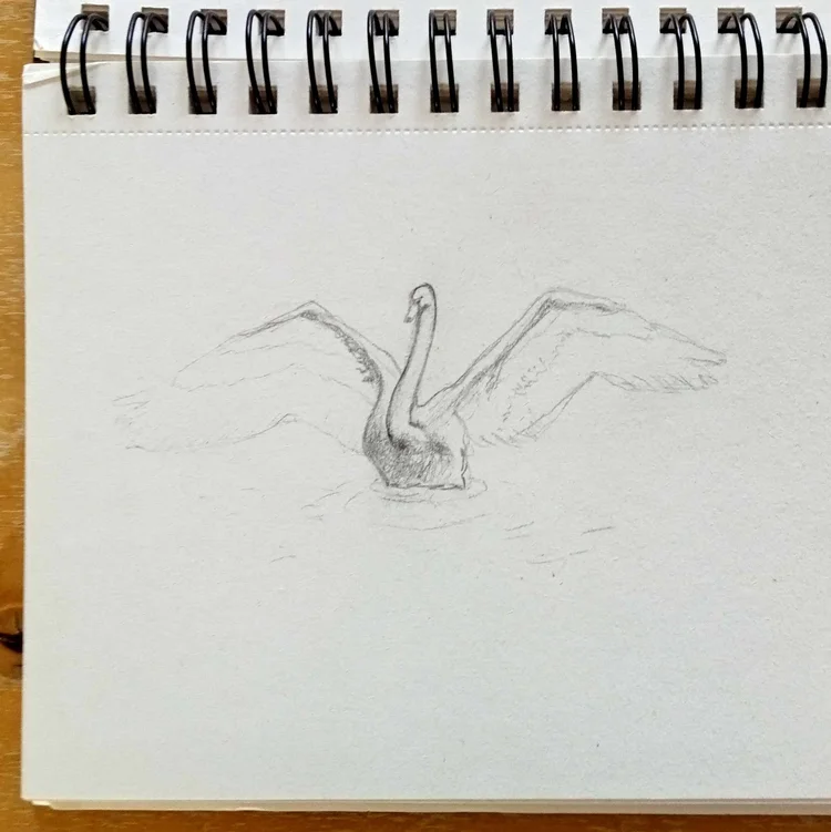 The Enchanting Legacy of the Children of Lir in Irish Mythology ...