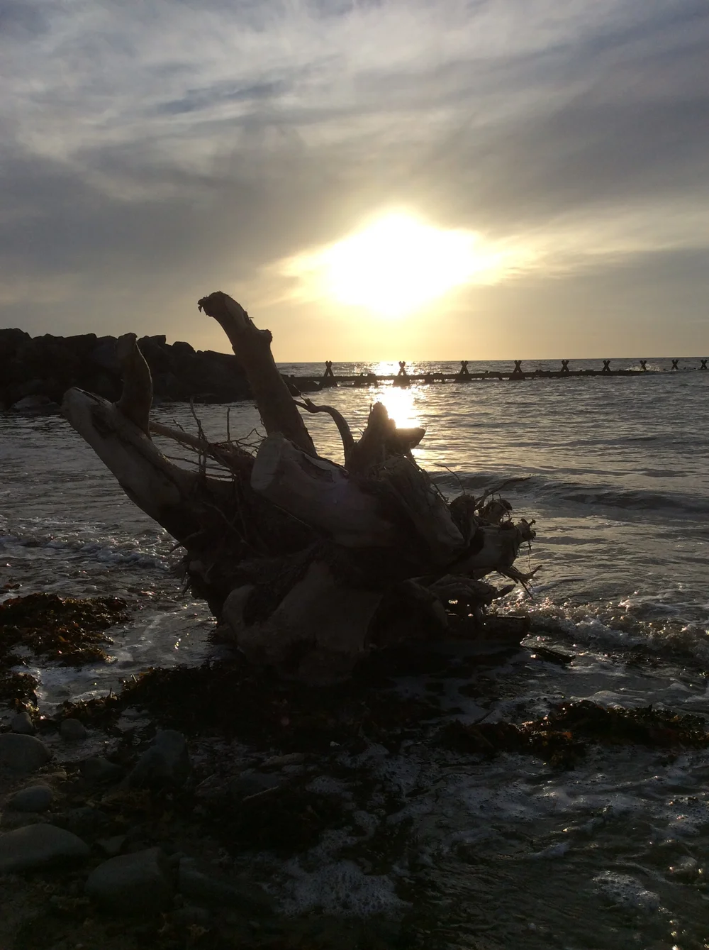 Carolyn J Roberts Artist