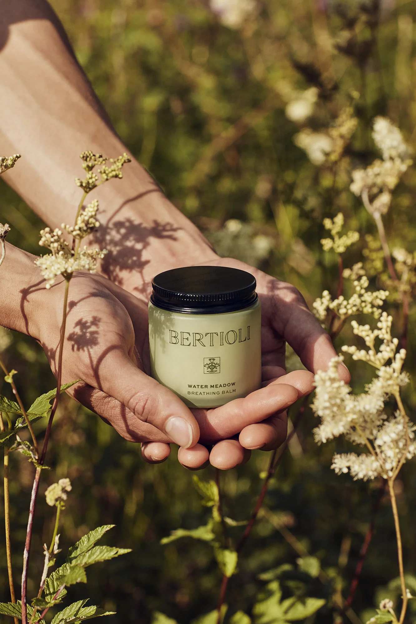 Bertioli — Duzi Studio