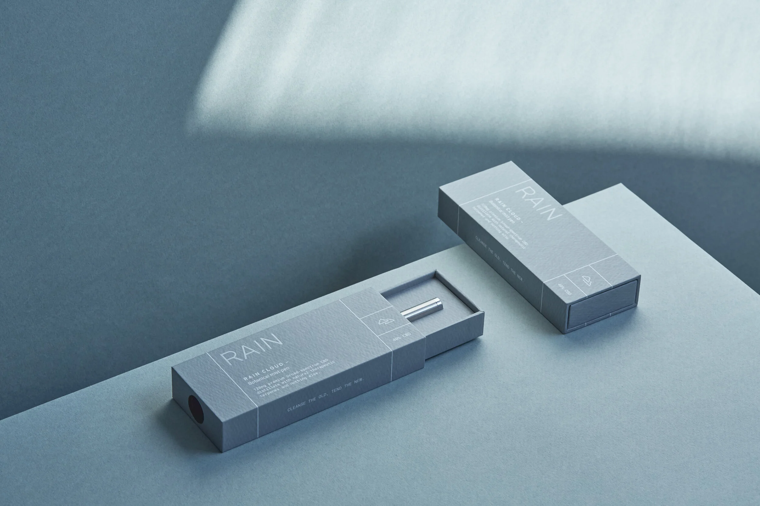 Rain — Duzi Studio