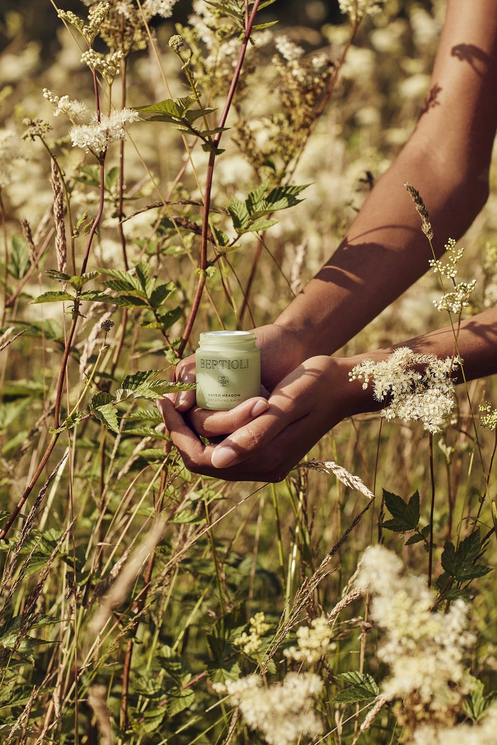 Bertioli — Duzi Studio