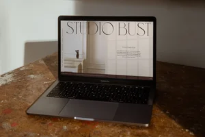 Studio Bust — Duzi Studio