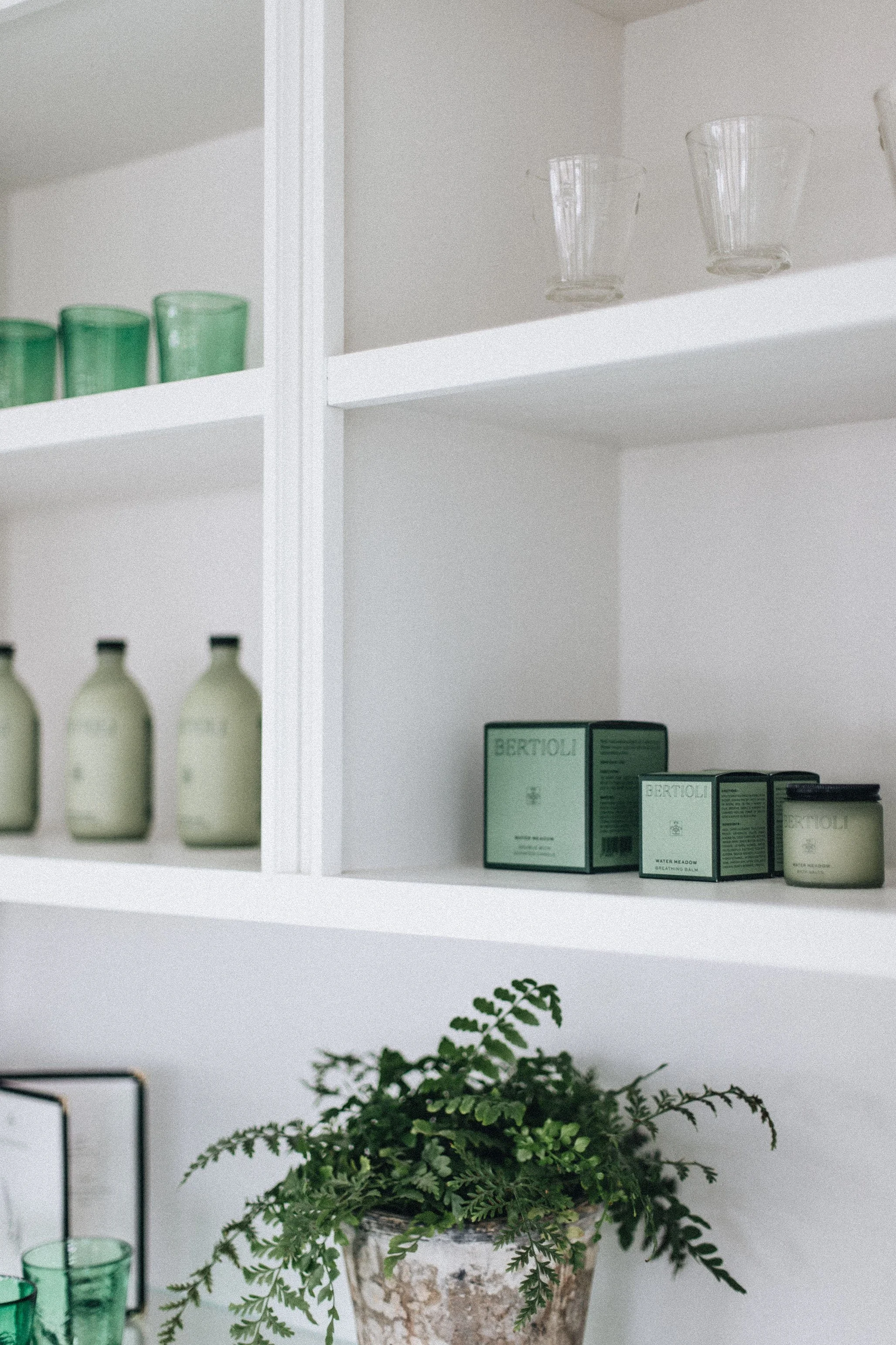 Bertioli — Duzi Studio