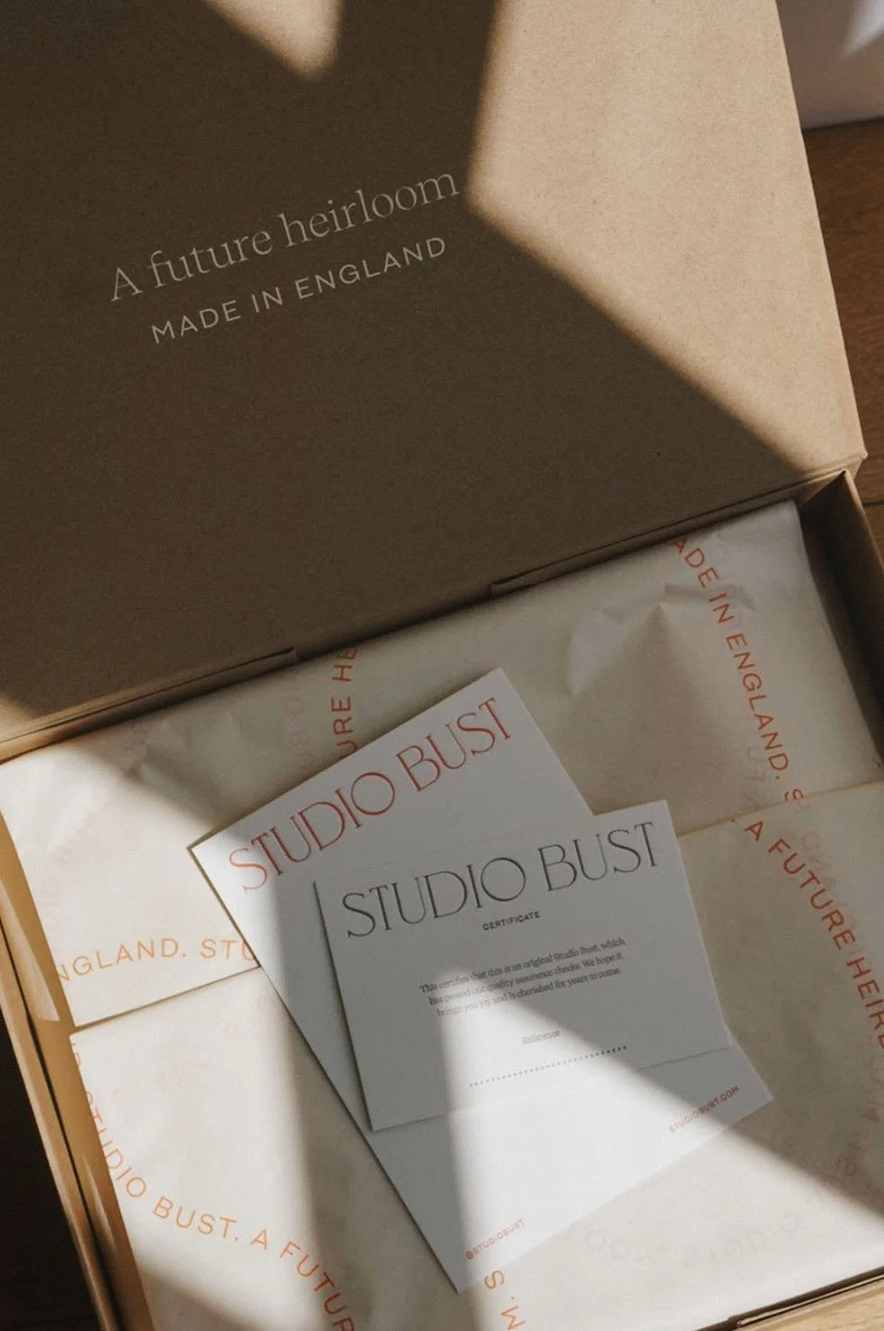 Studio Bust — Duzi Studio