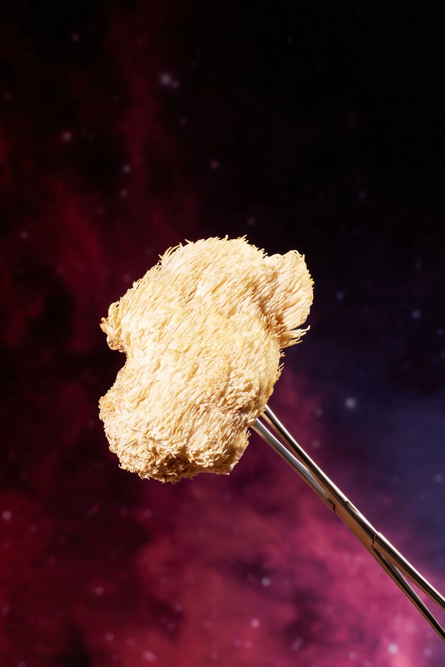 Collider — Duzi Studio