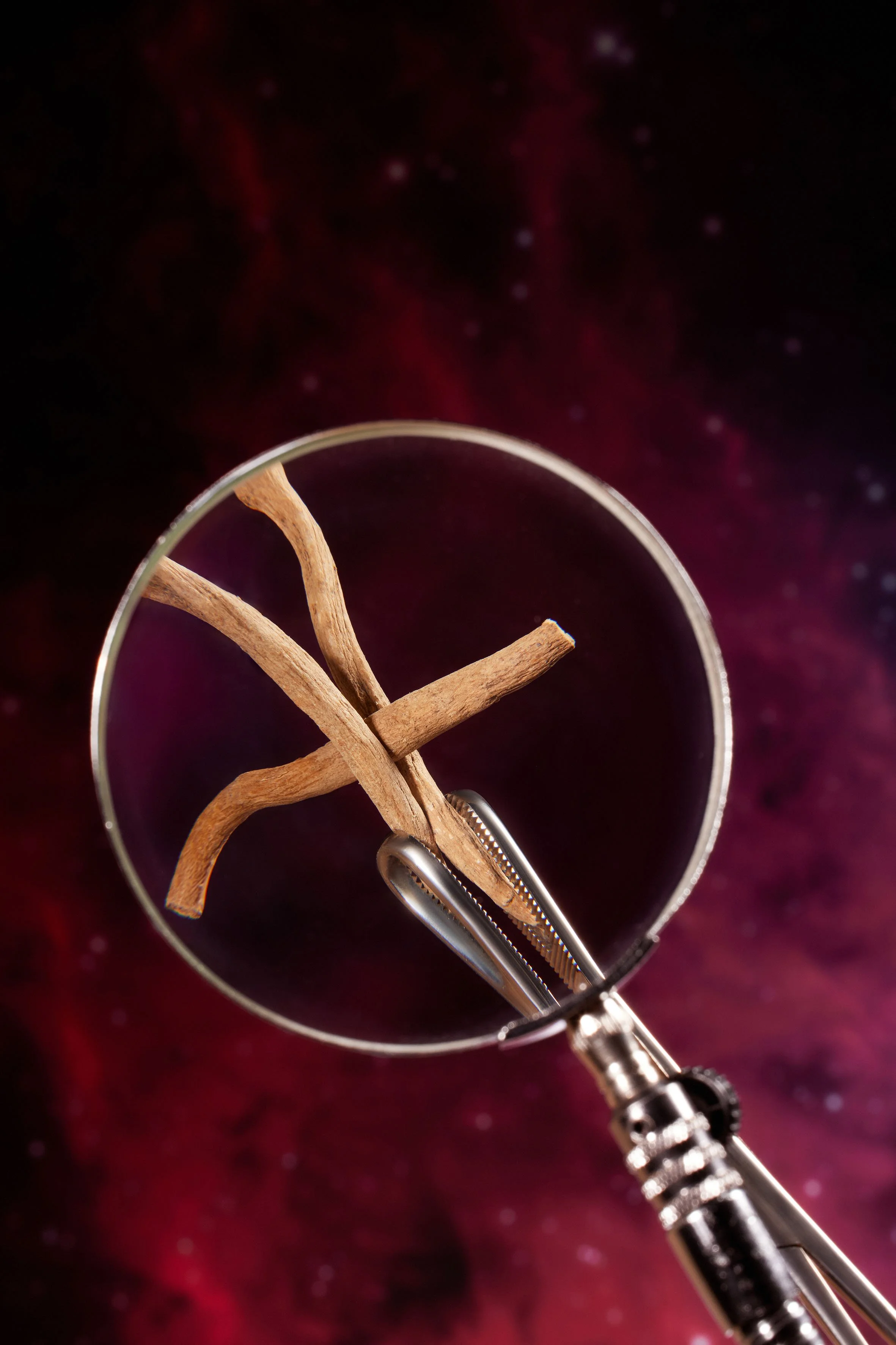 Collider — Duzi Studio