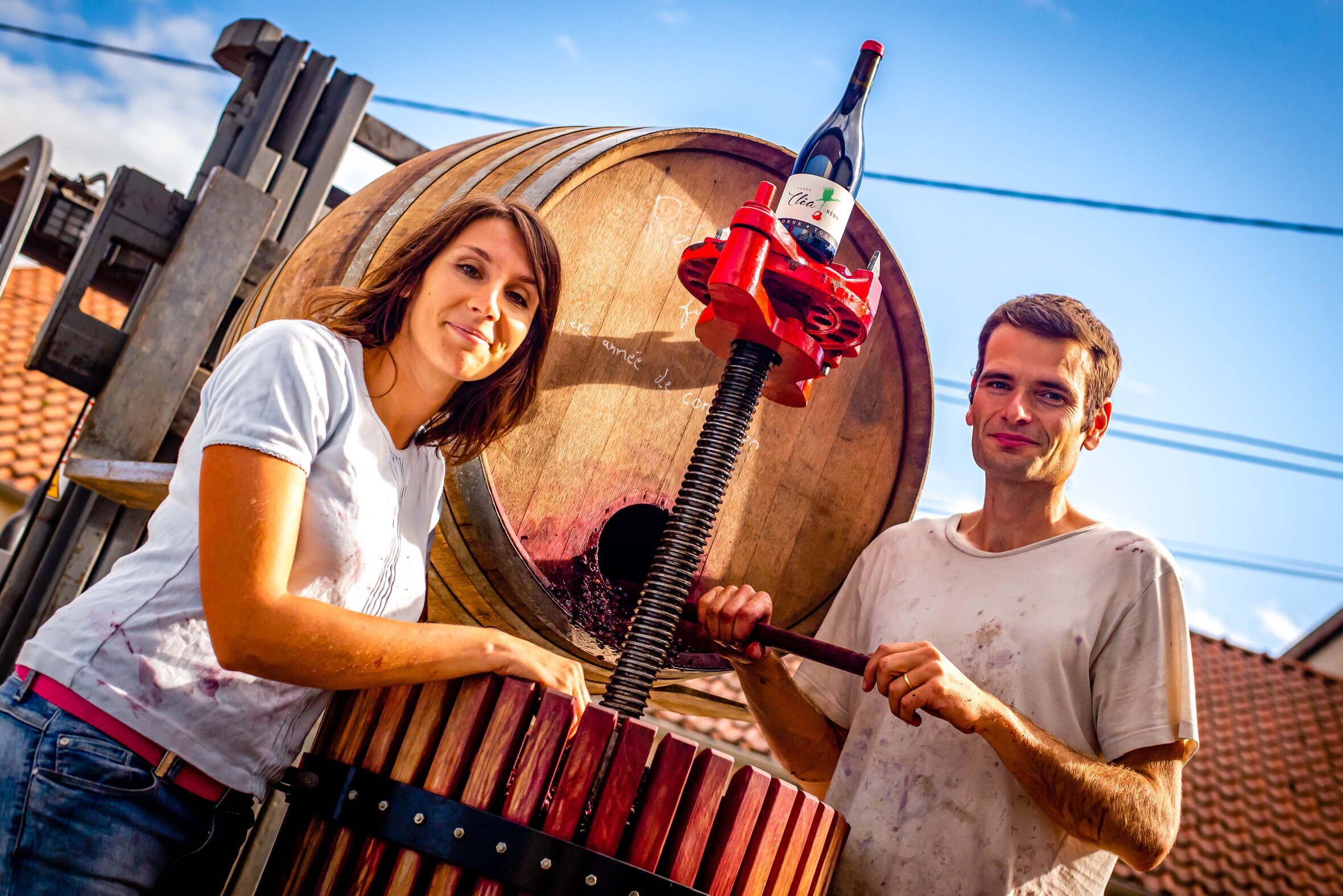 DOMAINE DE LA BONNE TONNE — stork wine company