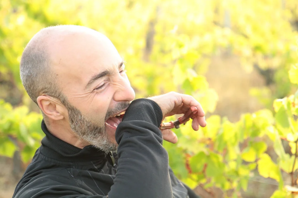 Blog — stork wine company