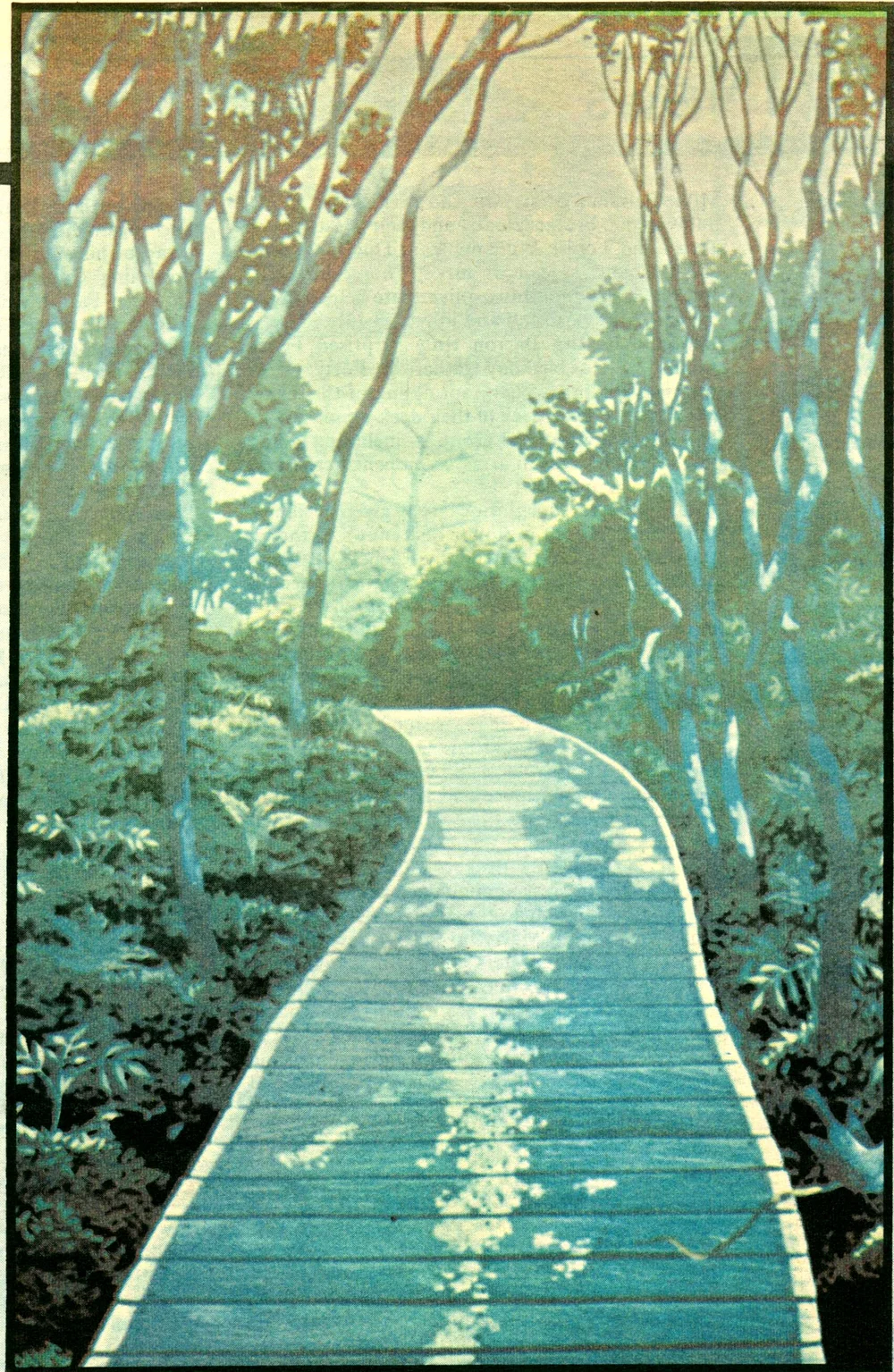 Art history- Ferron Bell — Fire Island Pines Historical Society