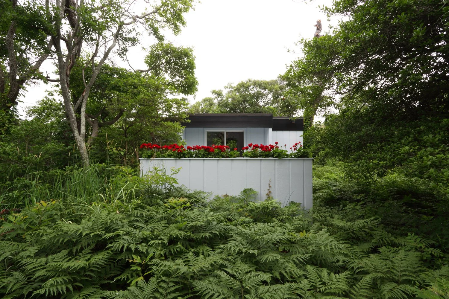 A Dual in the Sun. The Rockefeller/Ron Martin home Est. 1965 — Fire ...