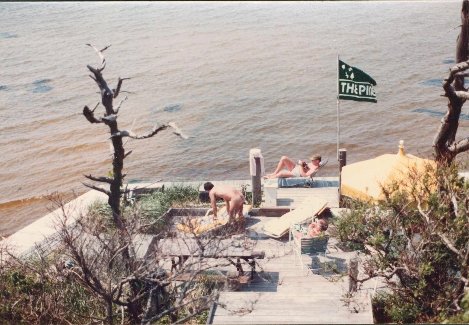 Fire Island Architecture history-The A Frame house Est.1965 — Fire ...