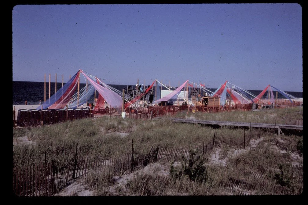 Who Was That Woman in the Pines? A Fire Island story. Circa 1975 — Fire ...