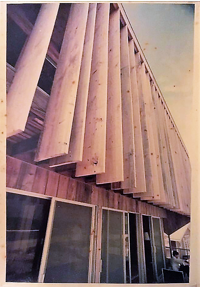 The House that John Whyte built. Est. 1960’s — Fire Island Pines ...