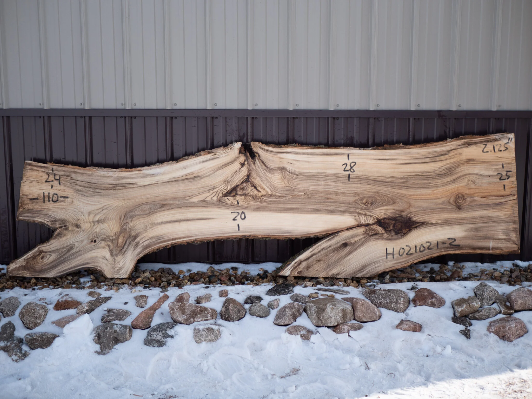 Hackberry HB060222-1 — Hillside Timber