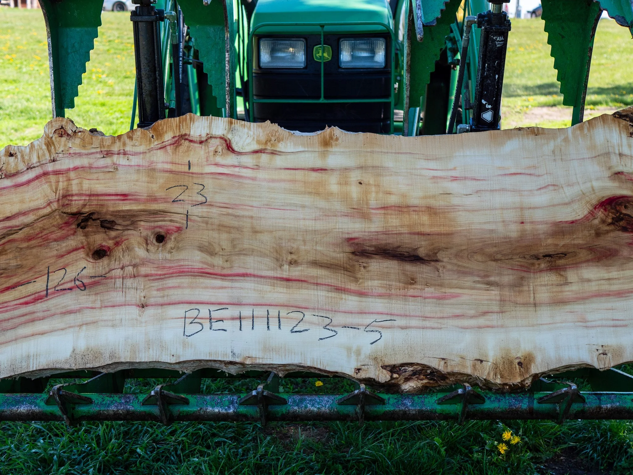 Box Elder BE111123-8 — Hillside Timber