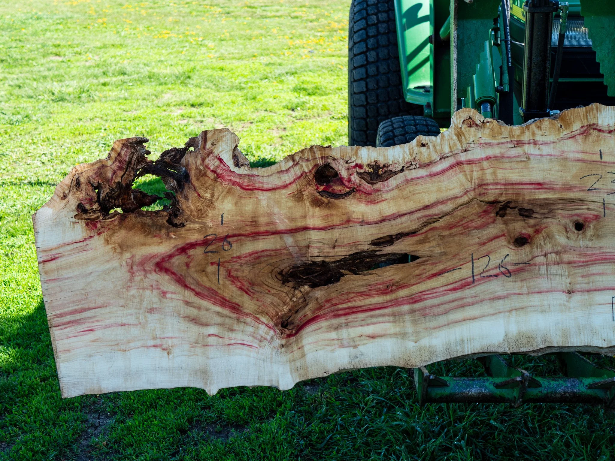 Box Elder BE111123-8 — Hillside Timber