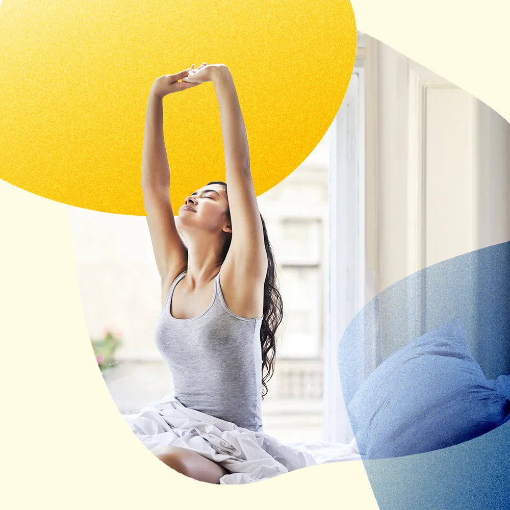 Website Design: Zing Bars — Tyler Drummond, Designer