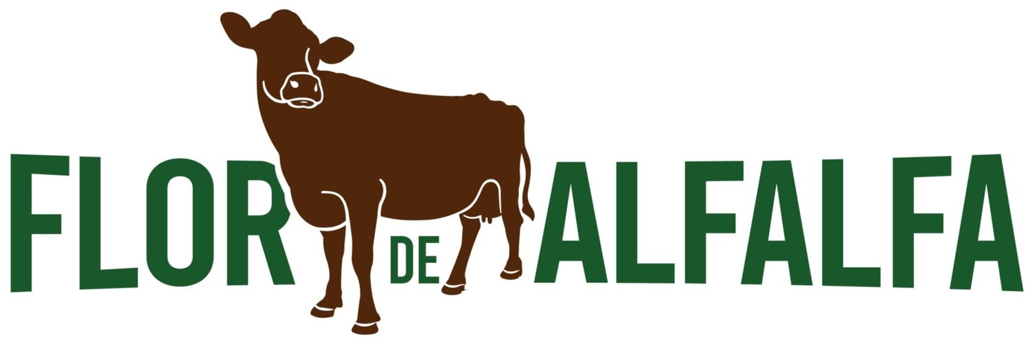 Flor de Alfalfa
